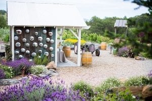The Oak Tree Terrace Ceremony Spot at Mountain House Estate